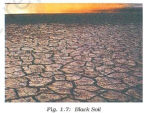 Soil As A Resource: It's Importance, Classification of Soil & Soil Erosion