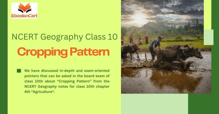NCERT Geography Class 10 | Cropping Pattern - E-Book NCERT - The Best ...